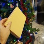 Magic Book With Medieval Castle Bookshelf Insert – Makers India