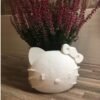 Modern Hello Kitty Succulent Planter – Makers India
